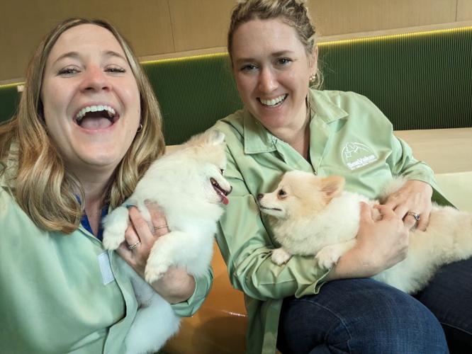 New Orleans based pet food company growing quickly | Innovation | nola.com