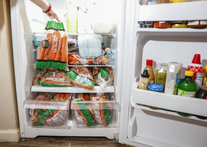 How a unicorn mule became a New Orleans French Quarter star | News ...