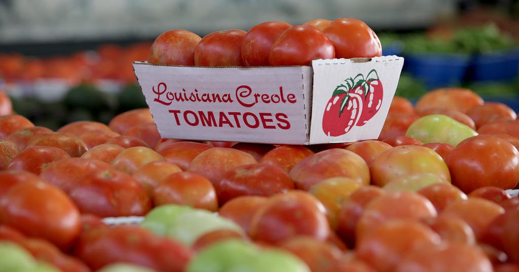 Plant these kinds of tomatoes in Southeastern Louisiana | Home/Garden ...