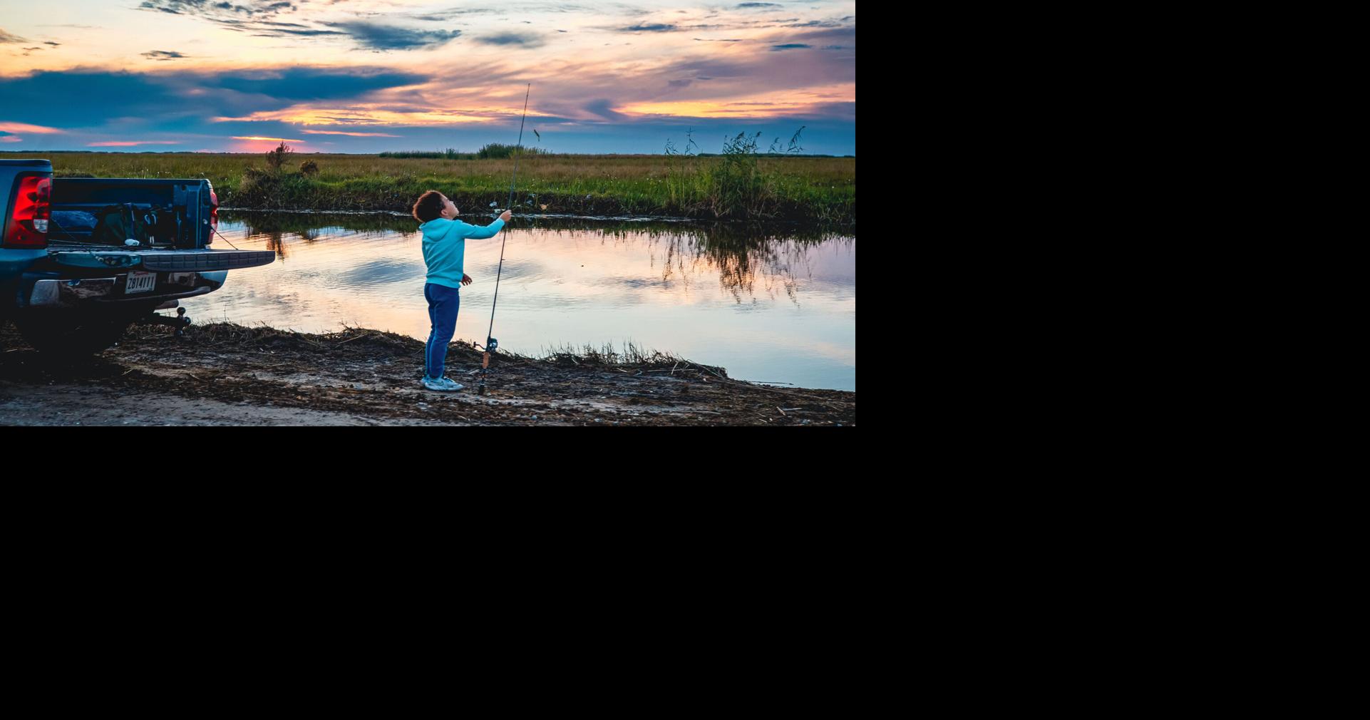 These fish were Louisiana's most popular in 2025. But what do the ...
