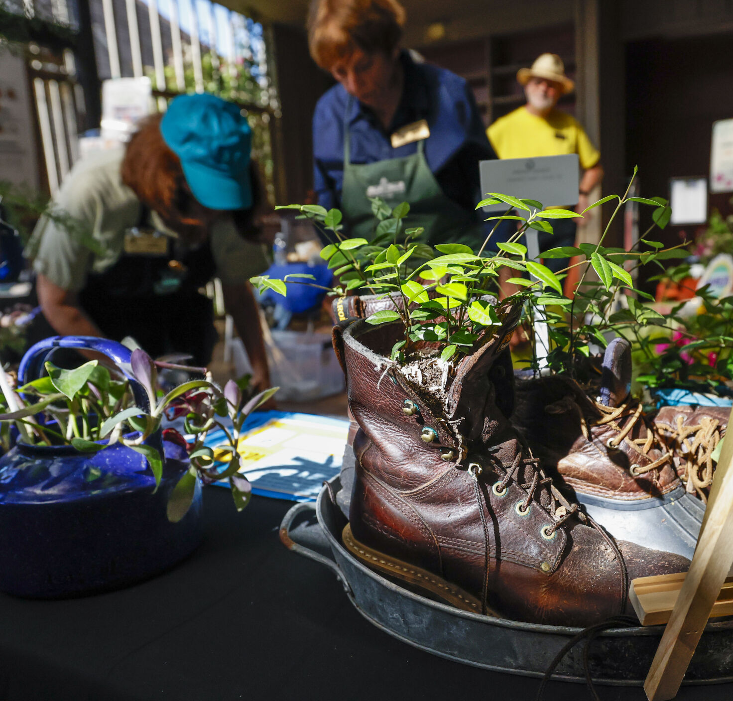 New Orleans Spring Garden Show: What to know before you go | Home ...