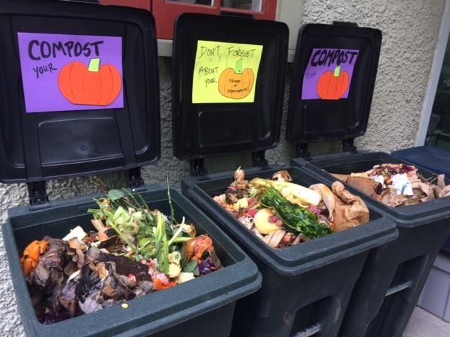 Don’t trash that Halloween pumpkin. Compost it and give the soil a ...