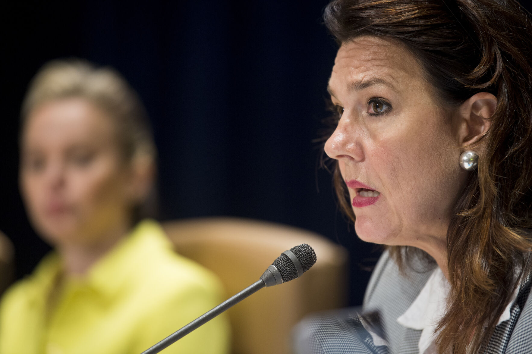 Kristin Gisleson Palmer named executive director or PRC | Business News ...