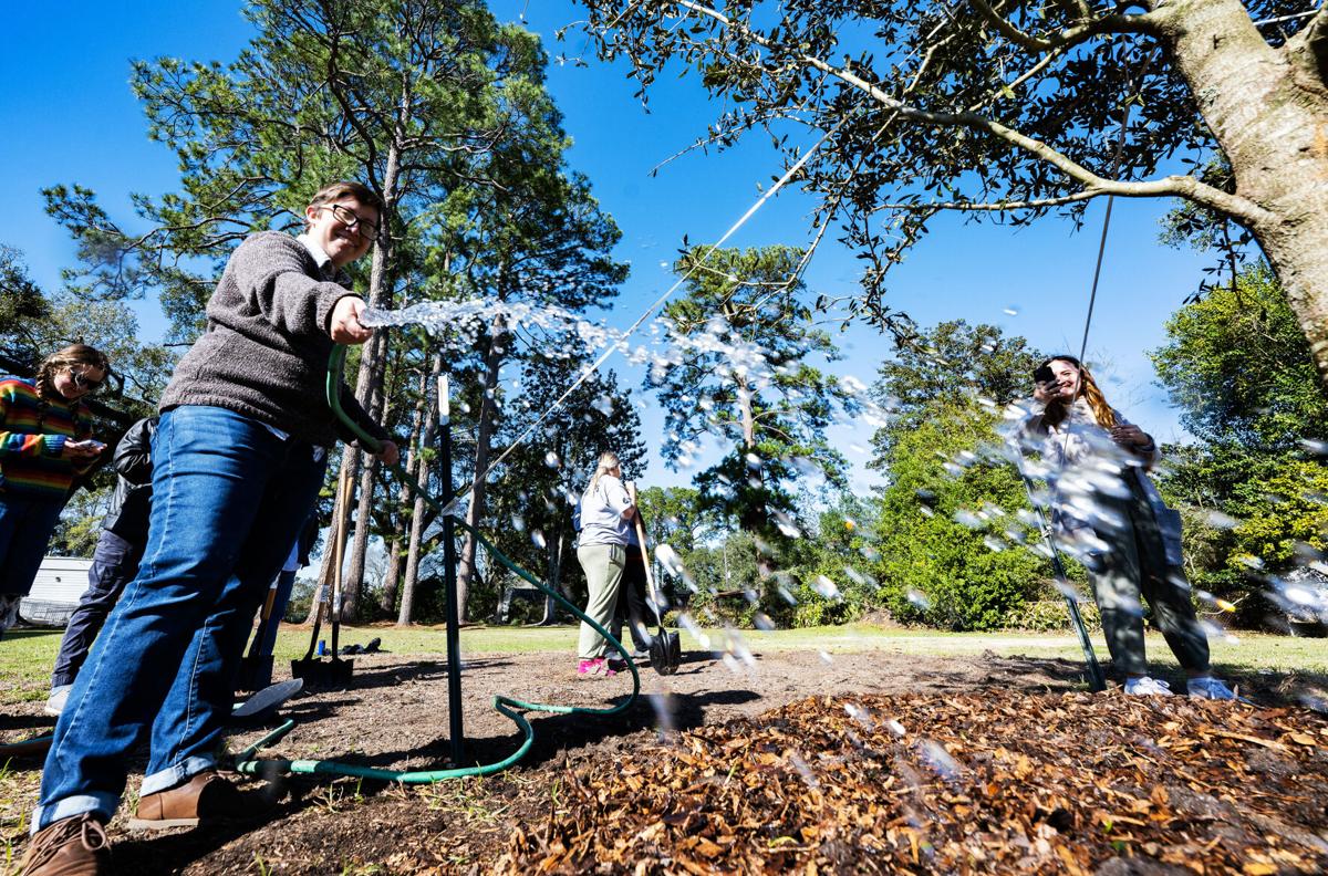 Reimagine your landscape by planting trees and shrubs | Home/Garden ...