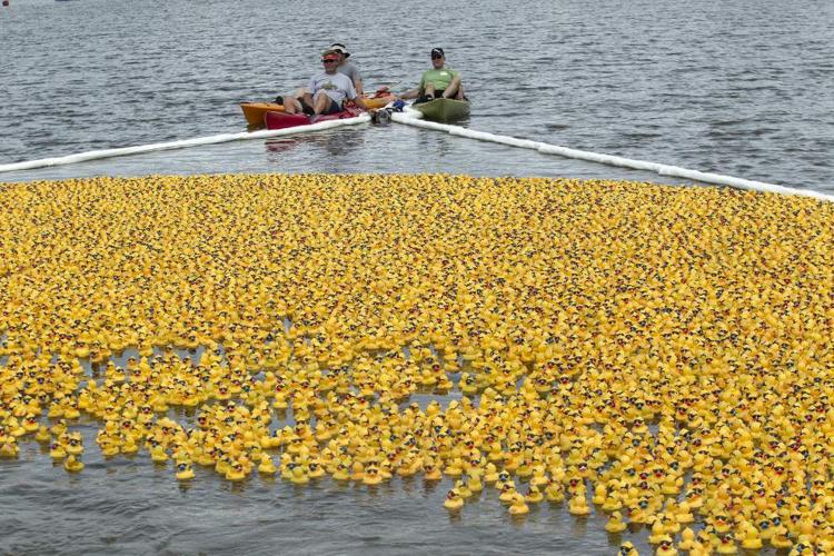 Photos Rubber Ducks | News | nola.com