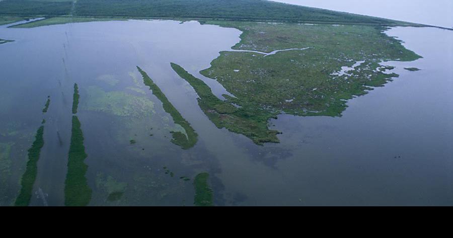 The sludge report | News | Gambit Weekly | nola.com