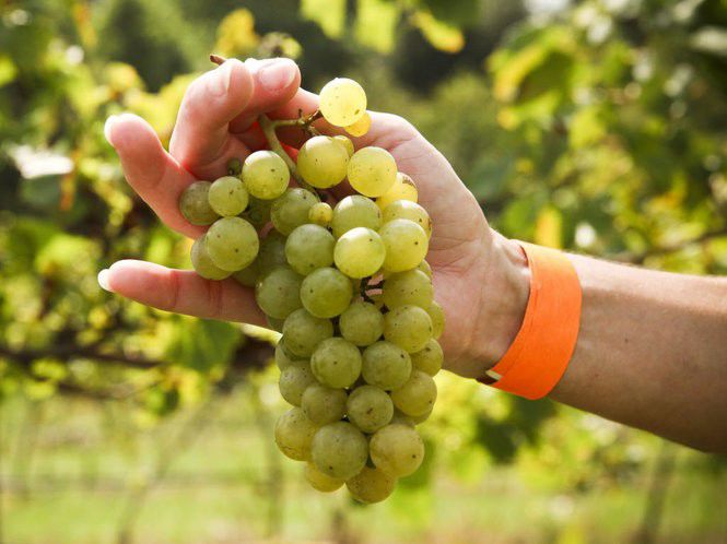 Stage, sips and suds dominate this North Shore Weekend Roundup, Sept. 1 ...