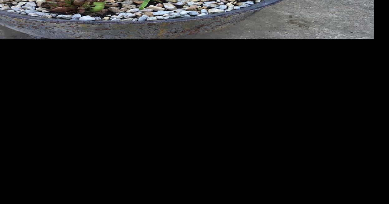 Native plants and flowers rejoin New Orleans gardens | Photos | nola.com