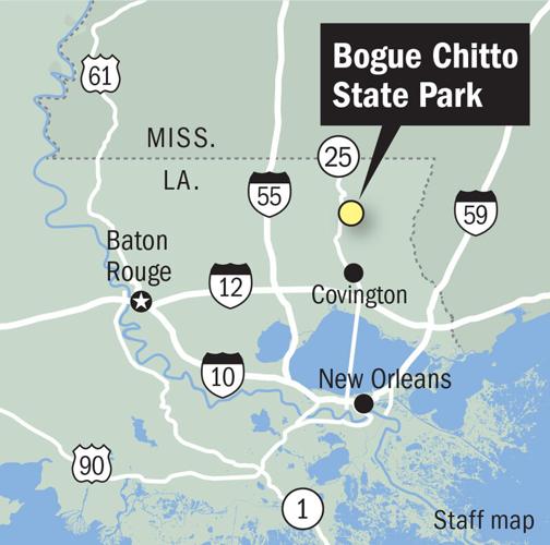 Louisiana's Bogue Chitto State Park cabins offer comfort ...
