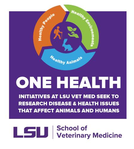 One Health: LSU Vet School uses integrative approach to help people ...