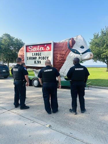 Saia's cow sign found at Mandeville lakefront after theft | Crime ...