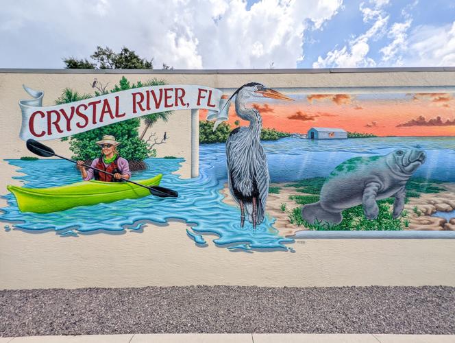 See magical manatees gather in the warm waters of Crystal River ...