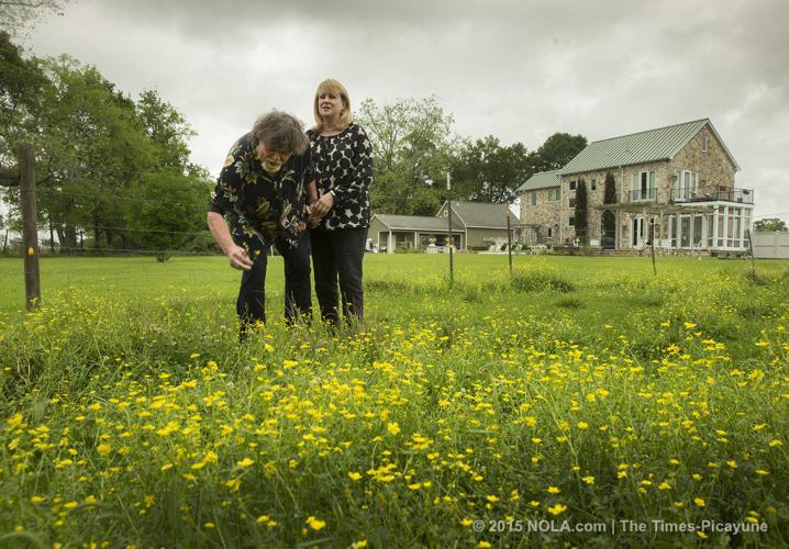 Radiators' Dave Malone talks Tipitina's anniversary shows | Keith Spera ...