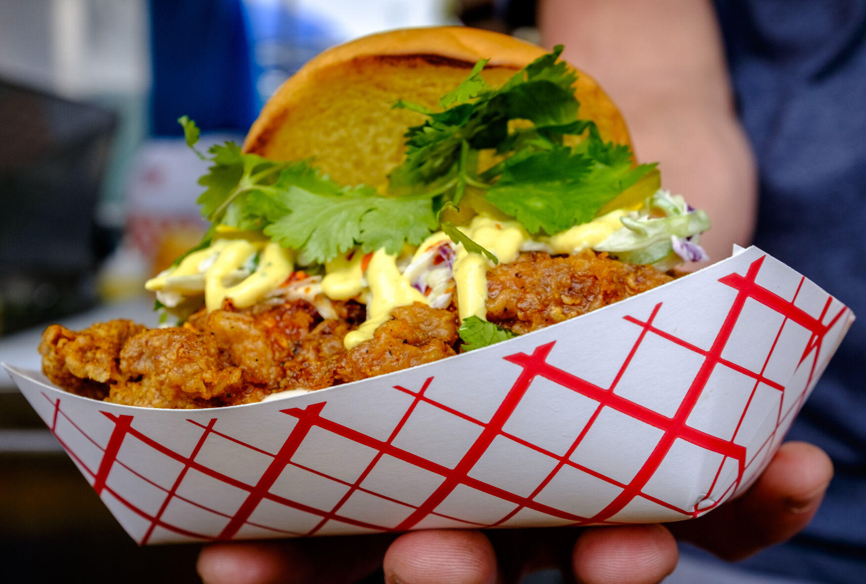 National Fried Chicken Fest concludes at lakefront | Photos | nola.com