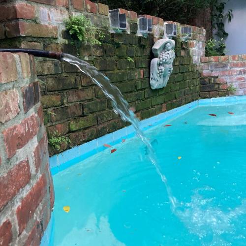 Sponsored: SWBNO backflow prevention program keeps New Orleans ...