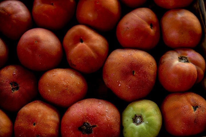 Time is ripe for Creole Tomato Fest in the French Quarter | Louisiana ...