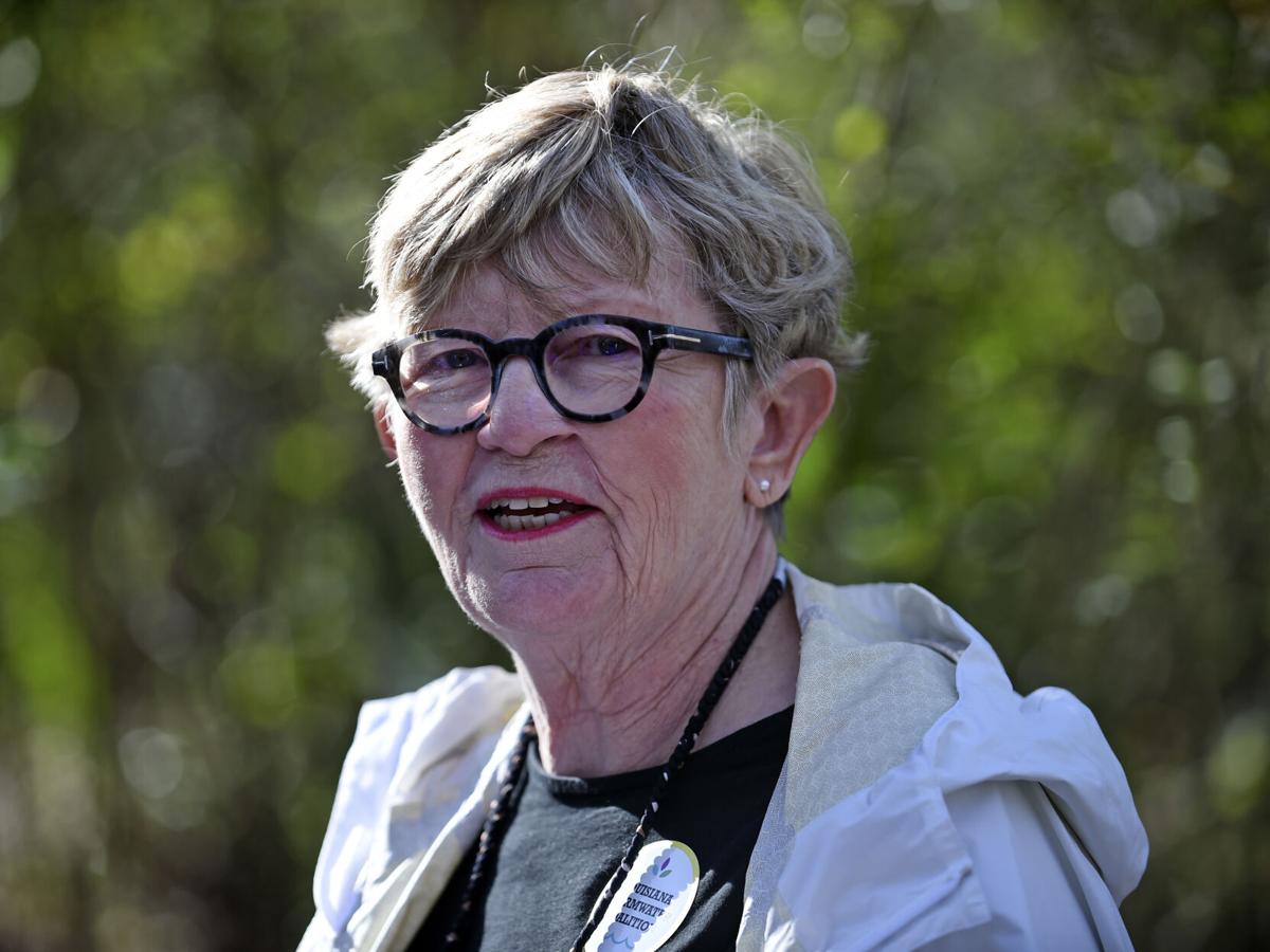 Marie Constantin: The stormwater challenges aren't going to go away in ...