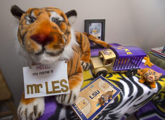 Mike the Tiger lives on in memory, memorabilia in Leslie Tassin's ...
