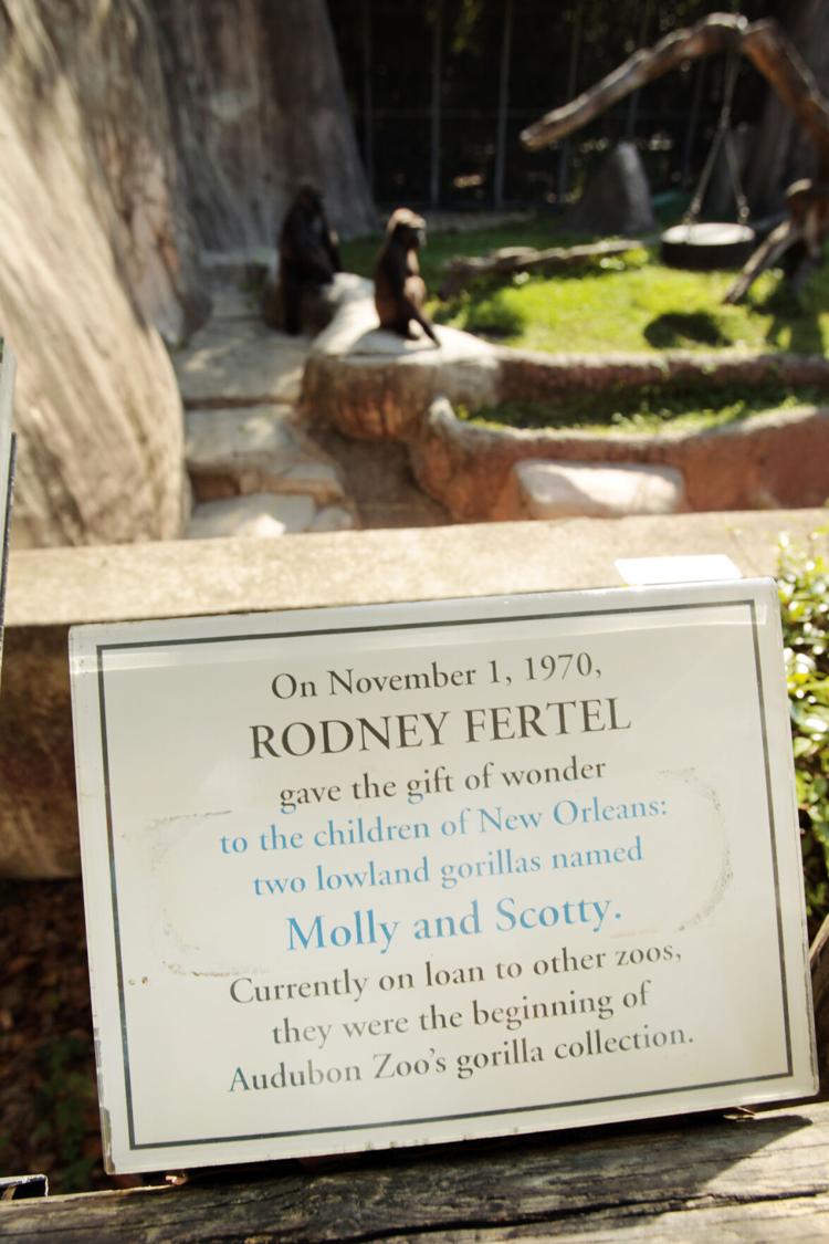 Randy Fertel, philanthropist and son of steakhouse founder Ruth and ...