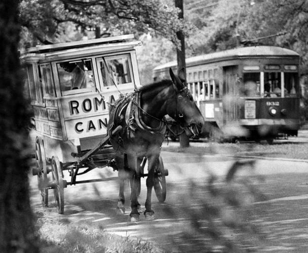 Father and son keep Roman Candy rolling through New Orleans | Where ...