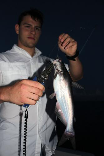 Pontchartrain-area redfish, speckled trout think autumn is here ...