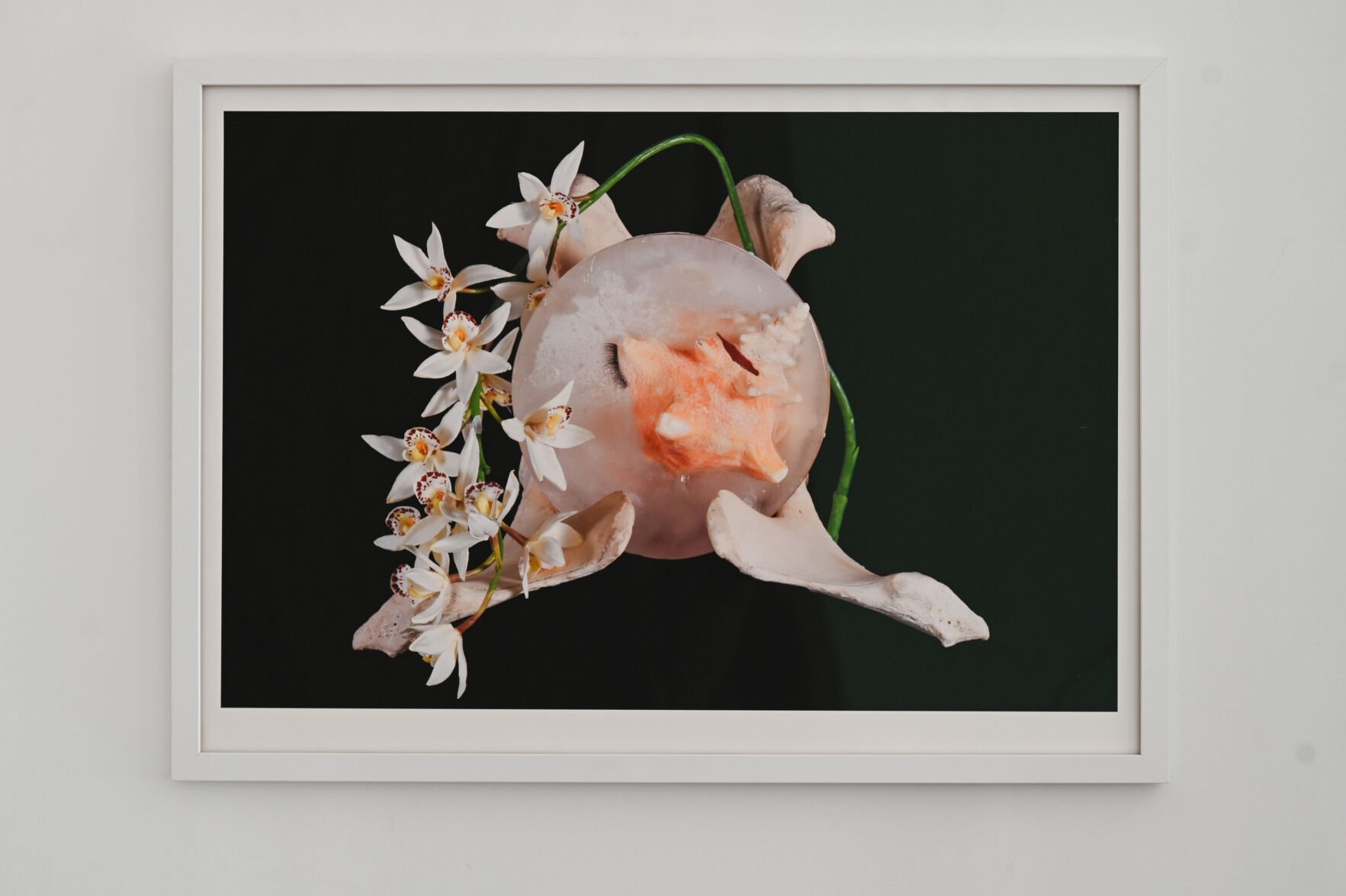 Historic building becomes a hub for local artists | Entertainment/Life ...