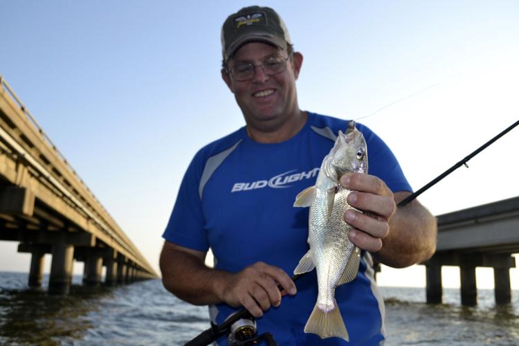 Mmmm, tasty! Speckled trout, redfish, flounder, black drum and more ...