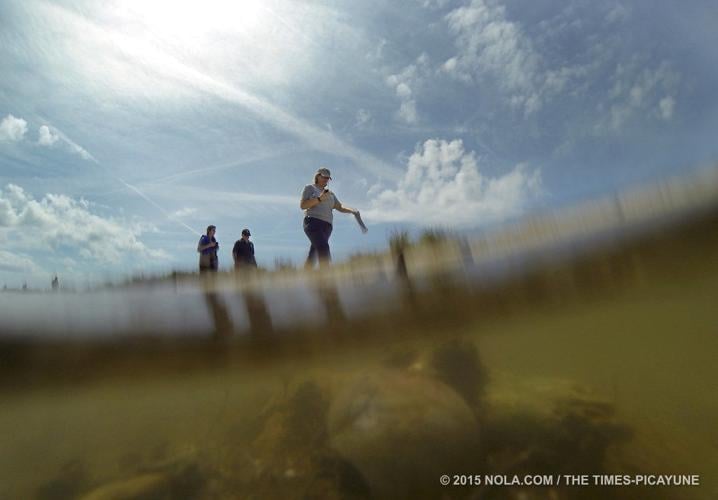 BP oil spill: 5 years later, many environmental effects remain unclear ...