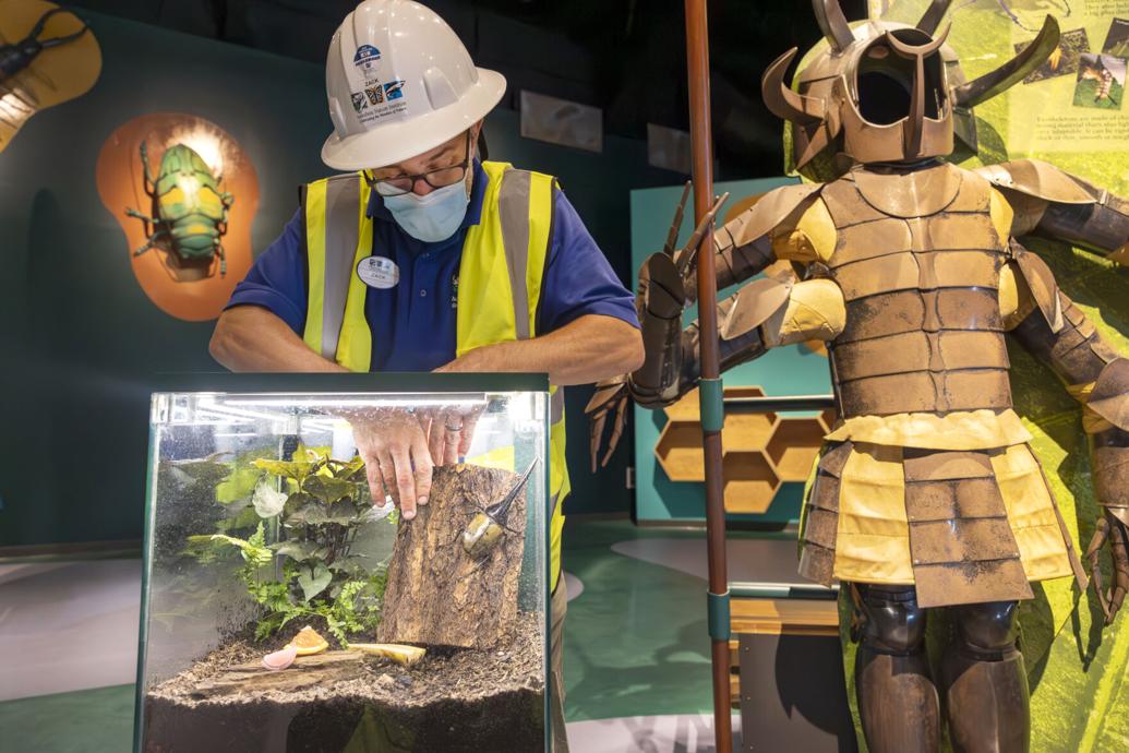 Audubon aquarium unveils $41 million renovation | Entertainment/Life ...