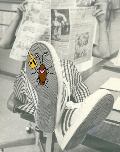 How to properly stomp a cockroach ... or learn to love them | Archive ...