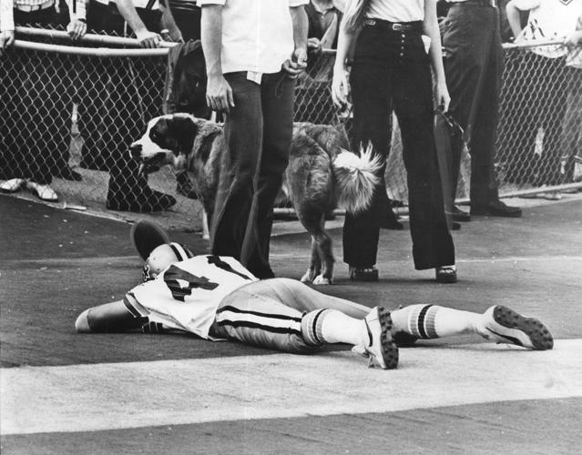 Gumbo rah-rah: How a St. Bernard dog became the New Orleans Saints ...
