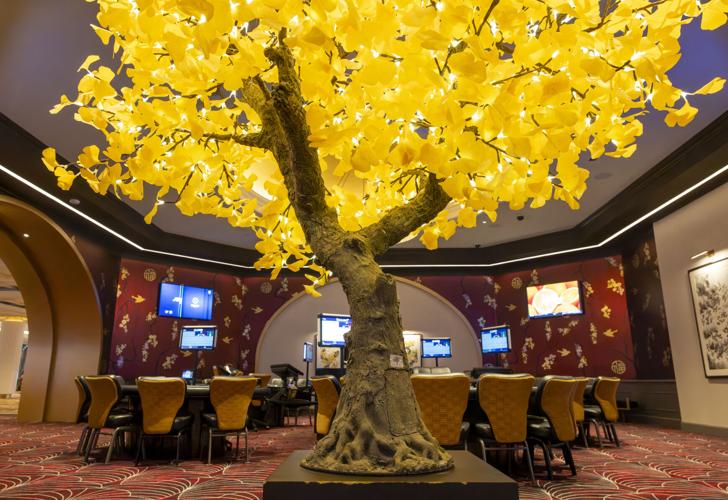 See inside Caesars casino in New Orleans LA after renovation | Business ...