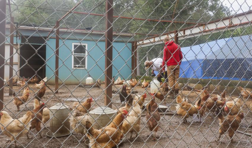 New Orleans Pontilly Coffee expands with Miss. retreat space ...