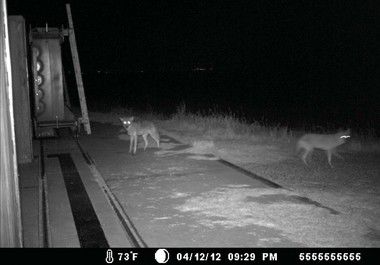 Corps making minor changes to Chalmette Loop hurricane levee to ease future maintenance ...