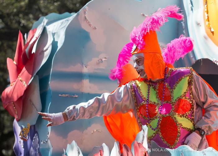 See photos from the 2019 Rex parade | News | nola.com
