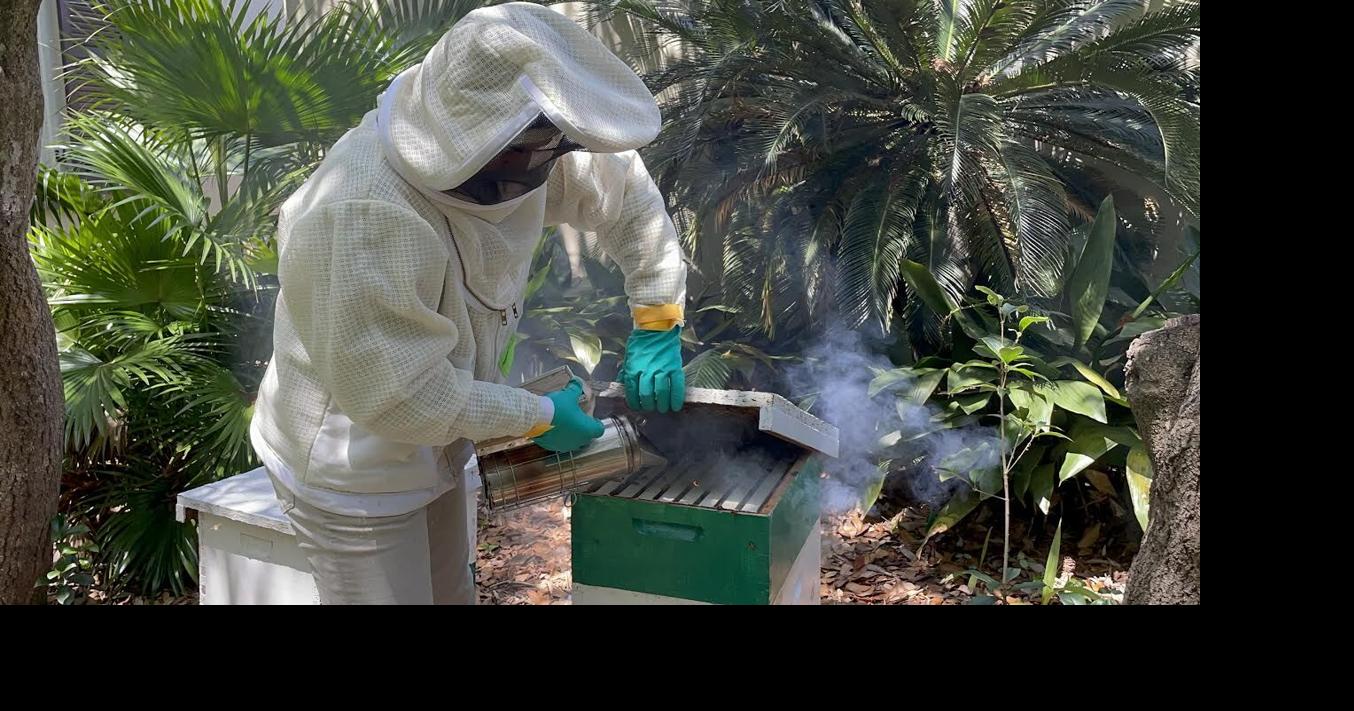 backyard beekeeping ontario