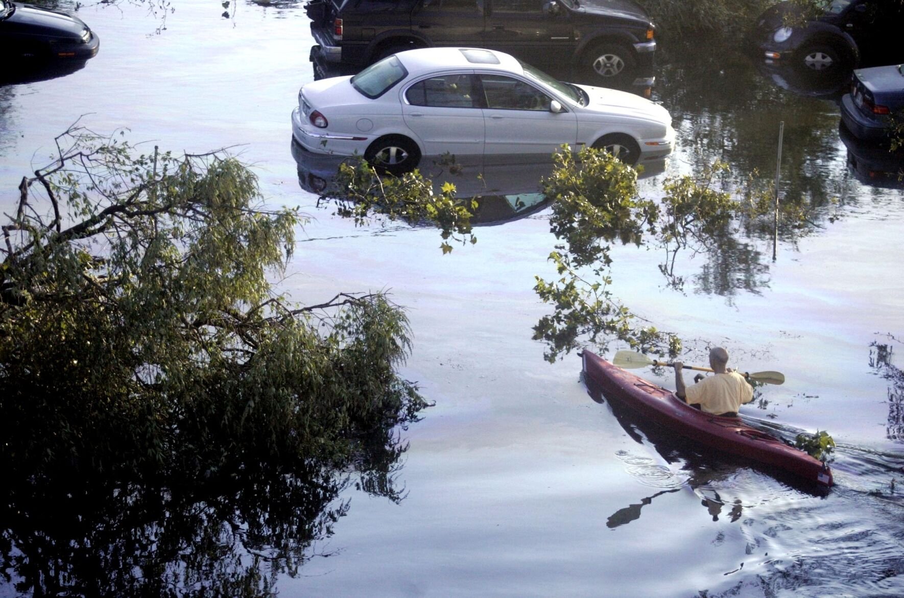 Critics petition against Mayor Helena Moreno’s budget plan | Local ...