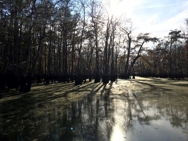 Controversial Mississippi flood control project gets $221M more, but ...