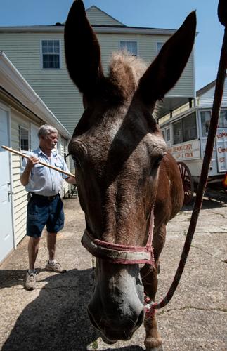Father and son keep Roman Candy rolling through New Orleans | Where ...