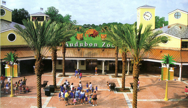 Audubon Zoo babies celebrate their first Easter in New Orleans ...