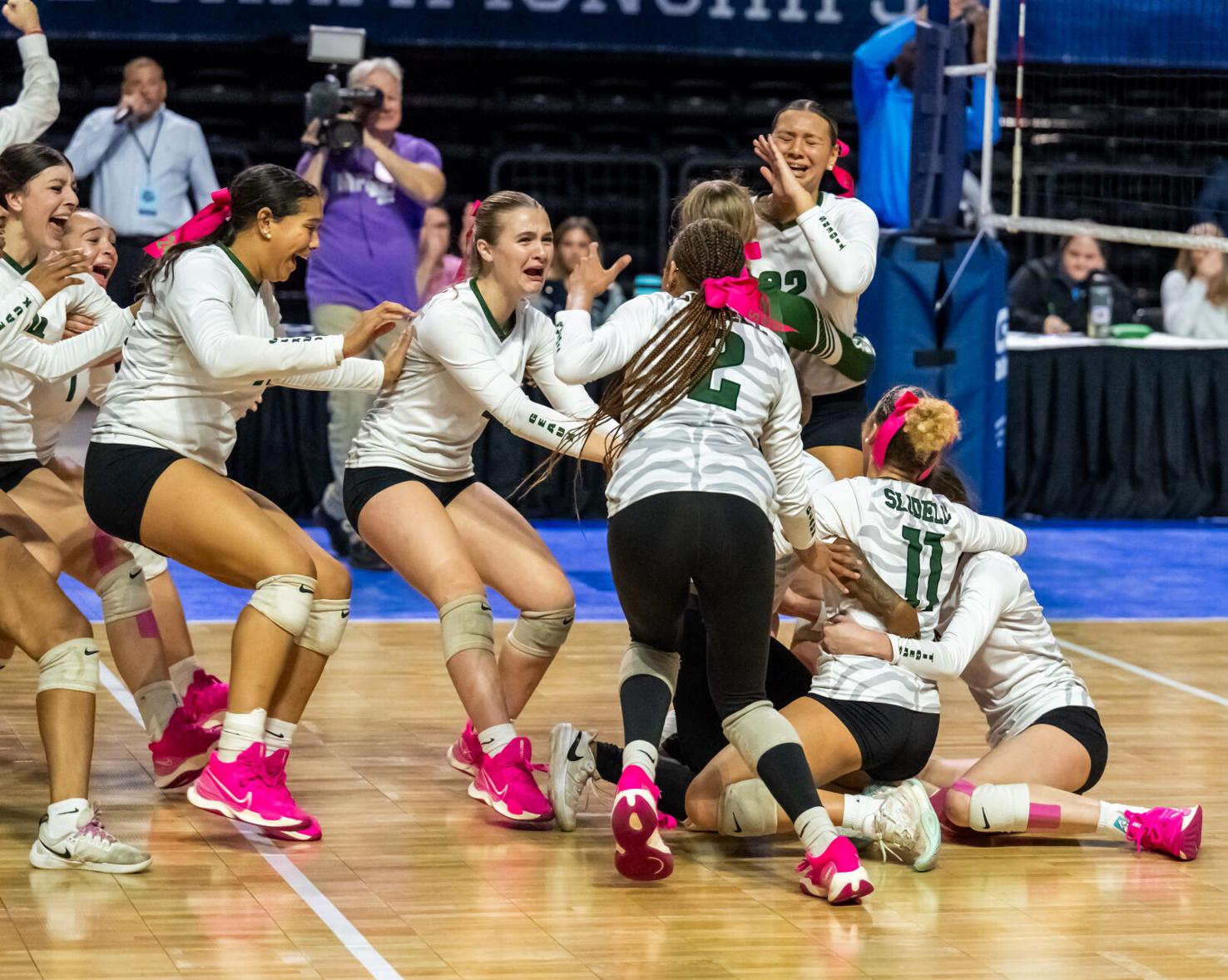 Meet the New Orleans all-metro volleyball teams for 2024 | Prep Sports ...