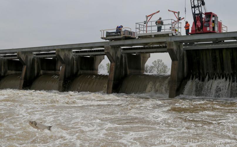 Army Corps opens 13 more bays on Bonnet Carre' Spillway | Environment ...