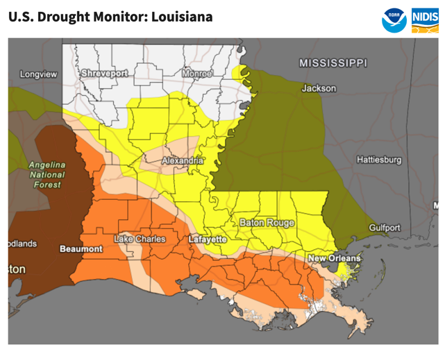 Louisiana issues a statewide burn ban | Environment | nola.com