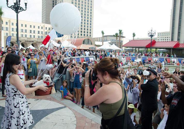 The tails of Bastille Day: French Dog Contest celebrates event | News ...