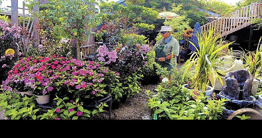 Harold's Plants | Design and Décor | nola.com