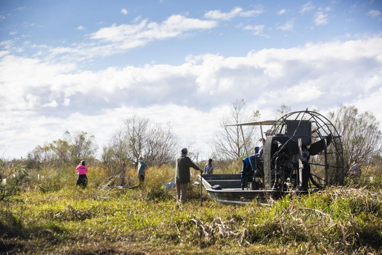 Interested in Louisiana's environment news? Sign up for The Catch Basin ...