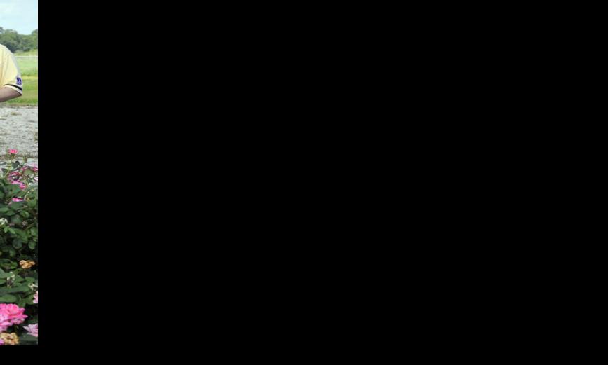 Dan Gill looks back at 30 years of writing about garden trends and tips ...