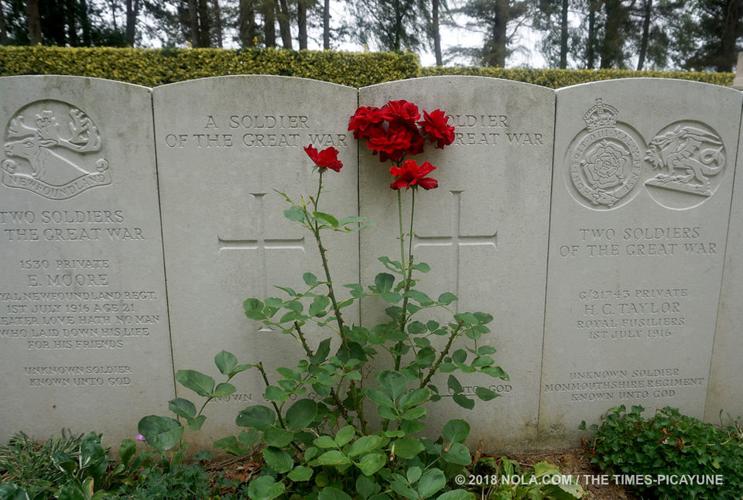 On This Spot: The Danger Tree at the WWI Battle of the Somme ...