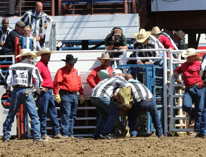 Angola Prison Rodeo, Treme Culture Fest, Satsuma Celebration and more ...