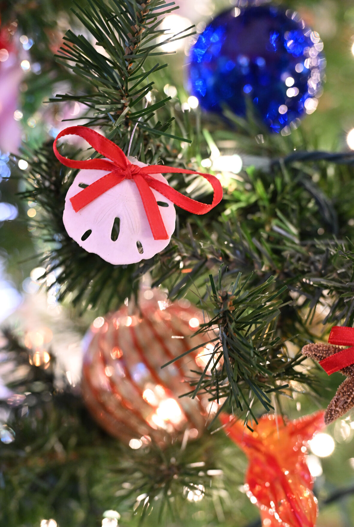 'So very worthwhile': Mid-City home tells a story of loss and rebirth ...